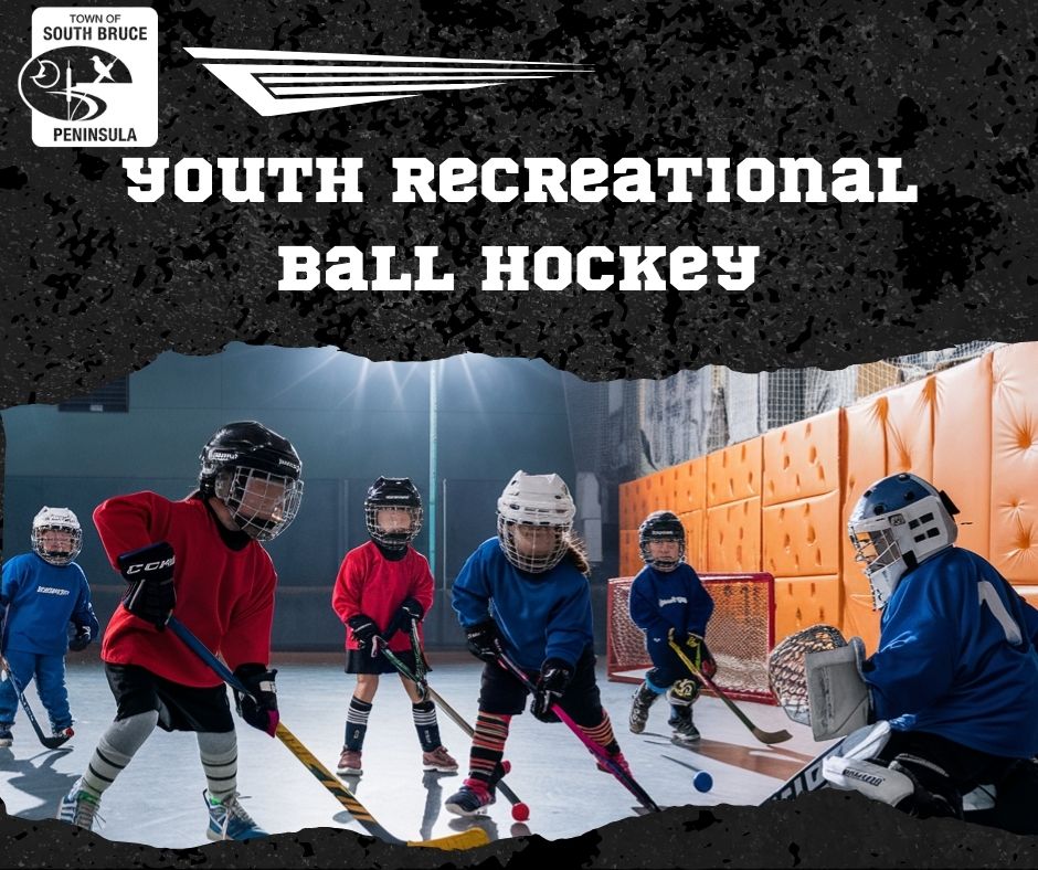 Youth Recreation -Ball Hockey